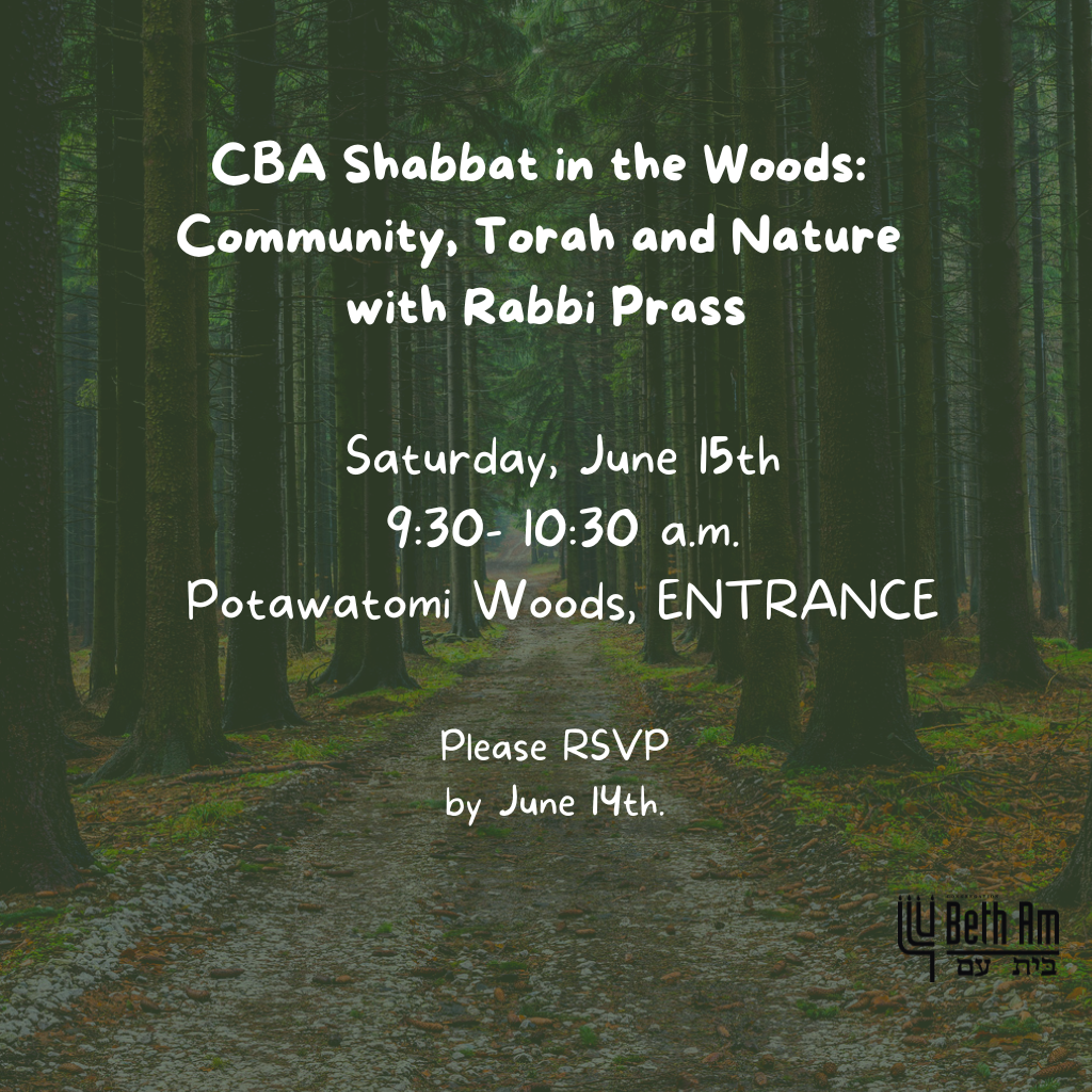 Congregation Beth Am